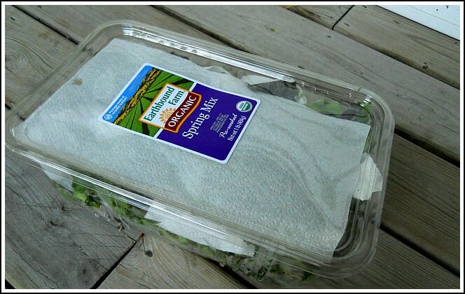 Simple Tip: How to Keep Lettuce Fresh Longer | Andrea Dekker