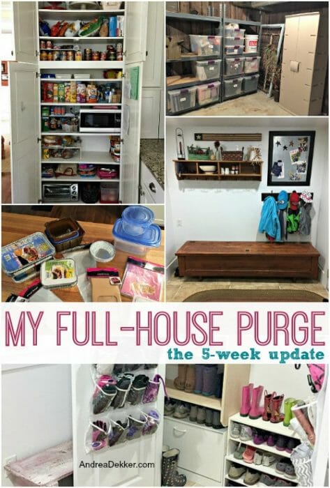 My Full-House Purge (the 5-week update) | Andrea Dekker