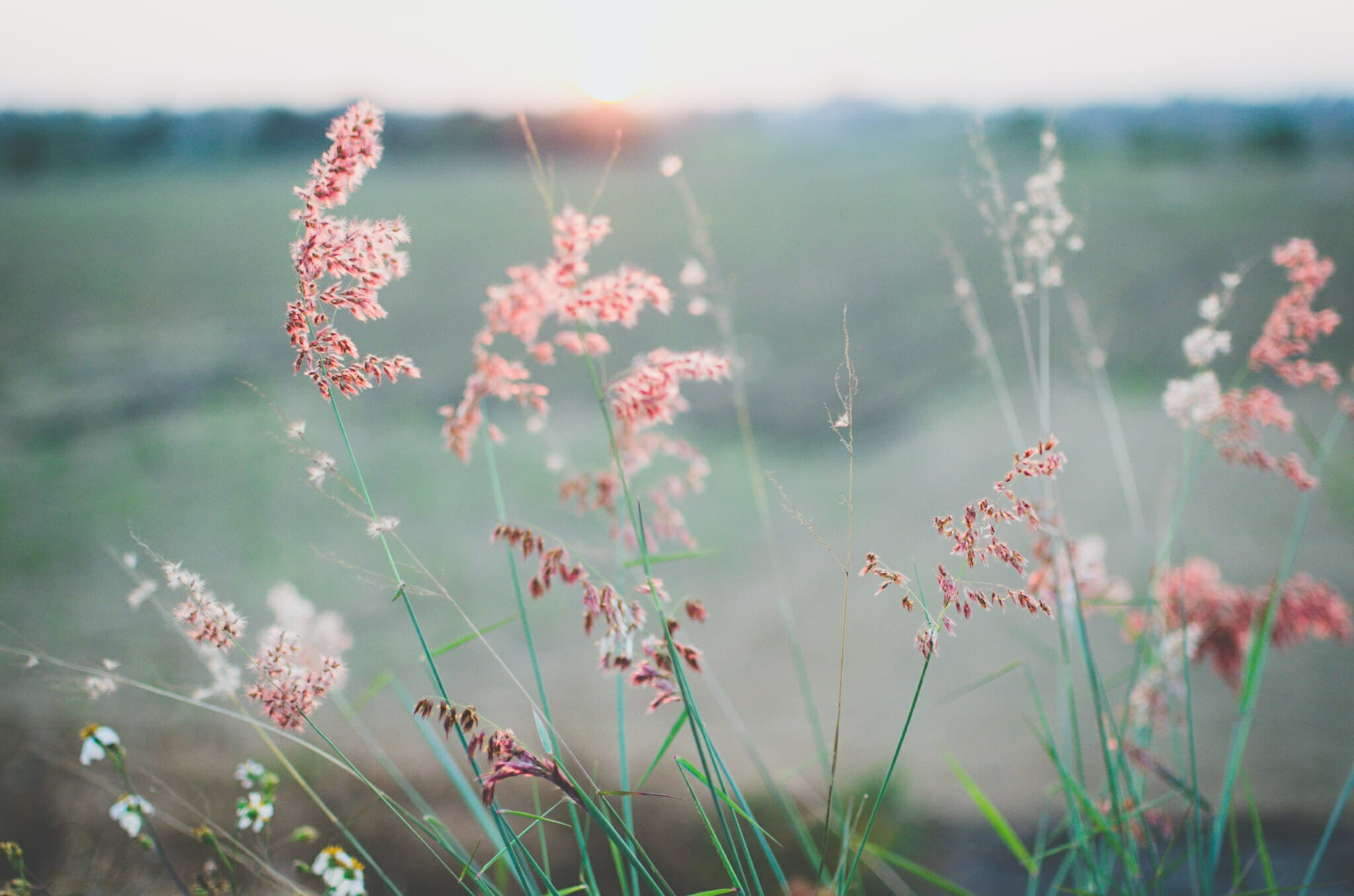How to Cultivate a More Peaceful Home and World | Andrea Dekker
